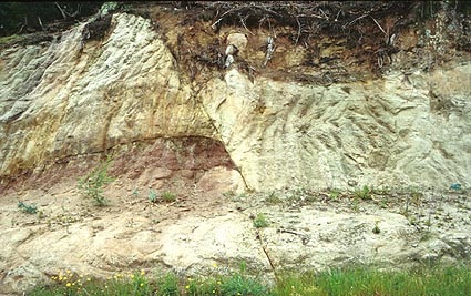Aprender Biologia e Geologia: Falha inversa